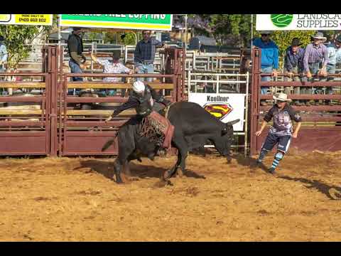 Alstonville Show 2024 - Rodeo Session 1