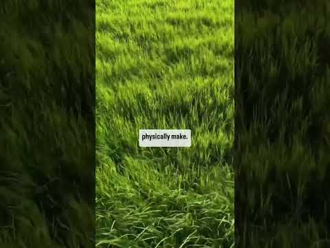 Quick Affirmations for High Vibration and Joy: Embrace New Beginnings with Positively Kimberly