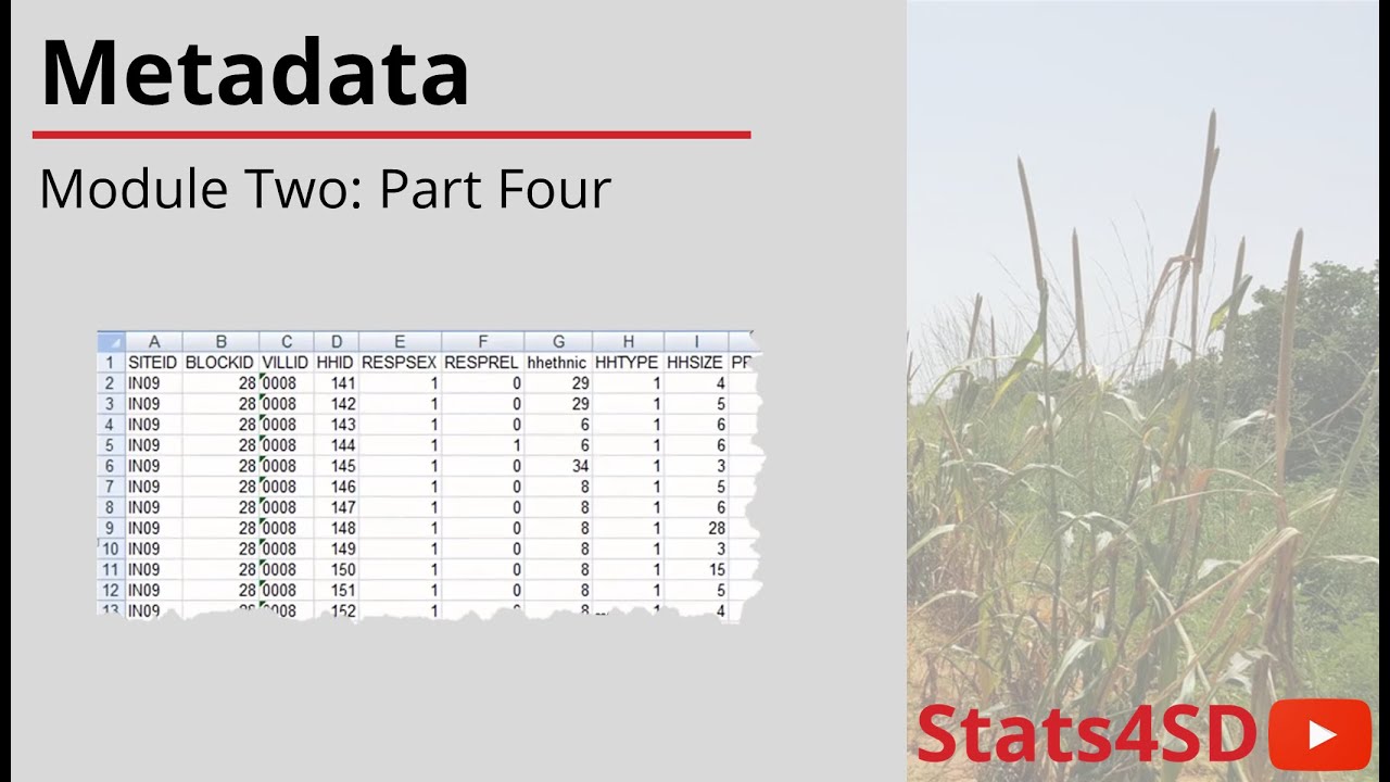 Data Management: Metadata