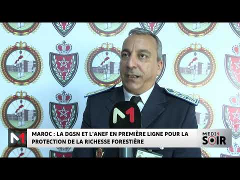 Maroc : la DGSN et l’ANEF en première ligne pour la protection de la richesse forestière