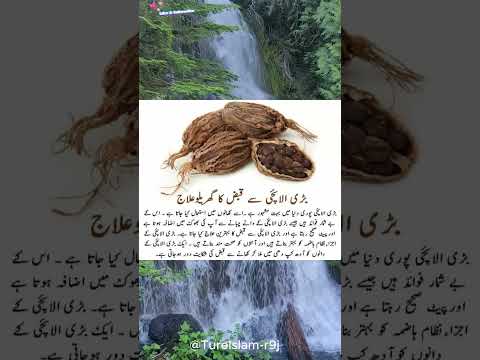 Surat Al-Muddaththir سورة المدثر (Ayat 11to15) translation Urdu ☝️❤️ #quran #viralvideo #shortvideo