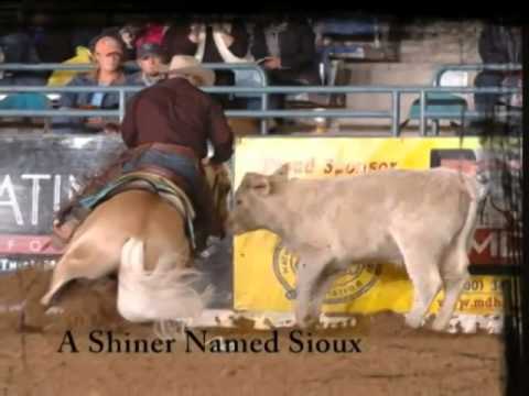 Carol Rose Ranch Video A Shiner Named Sioux