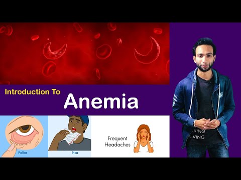 Anemia - Introduction ( classification / Pathogenesis / Symptoms / Lab investigations )