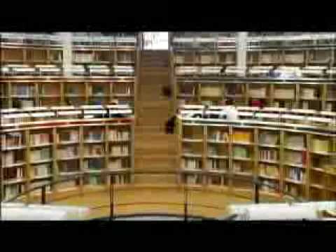 ¿Qué es el Plan Bolonia? | ¿Y después del Plan Bolonia?