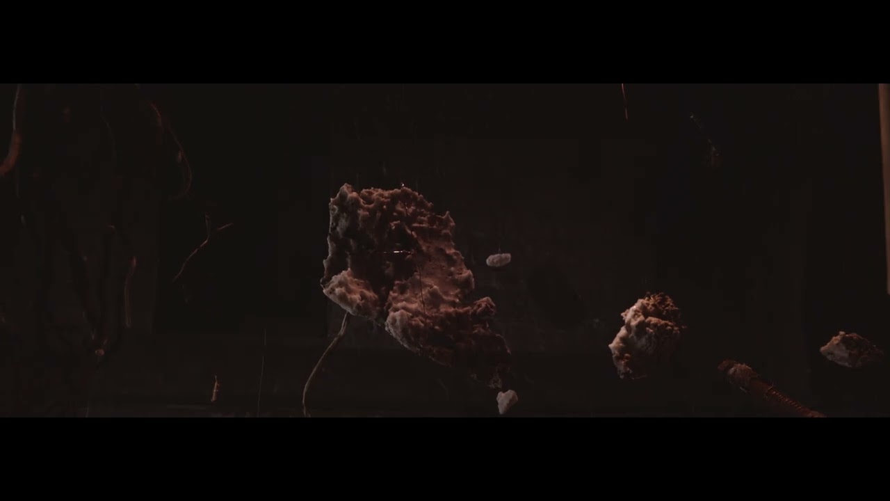 CreaTures Documentary - Trailer