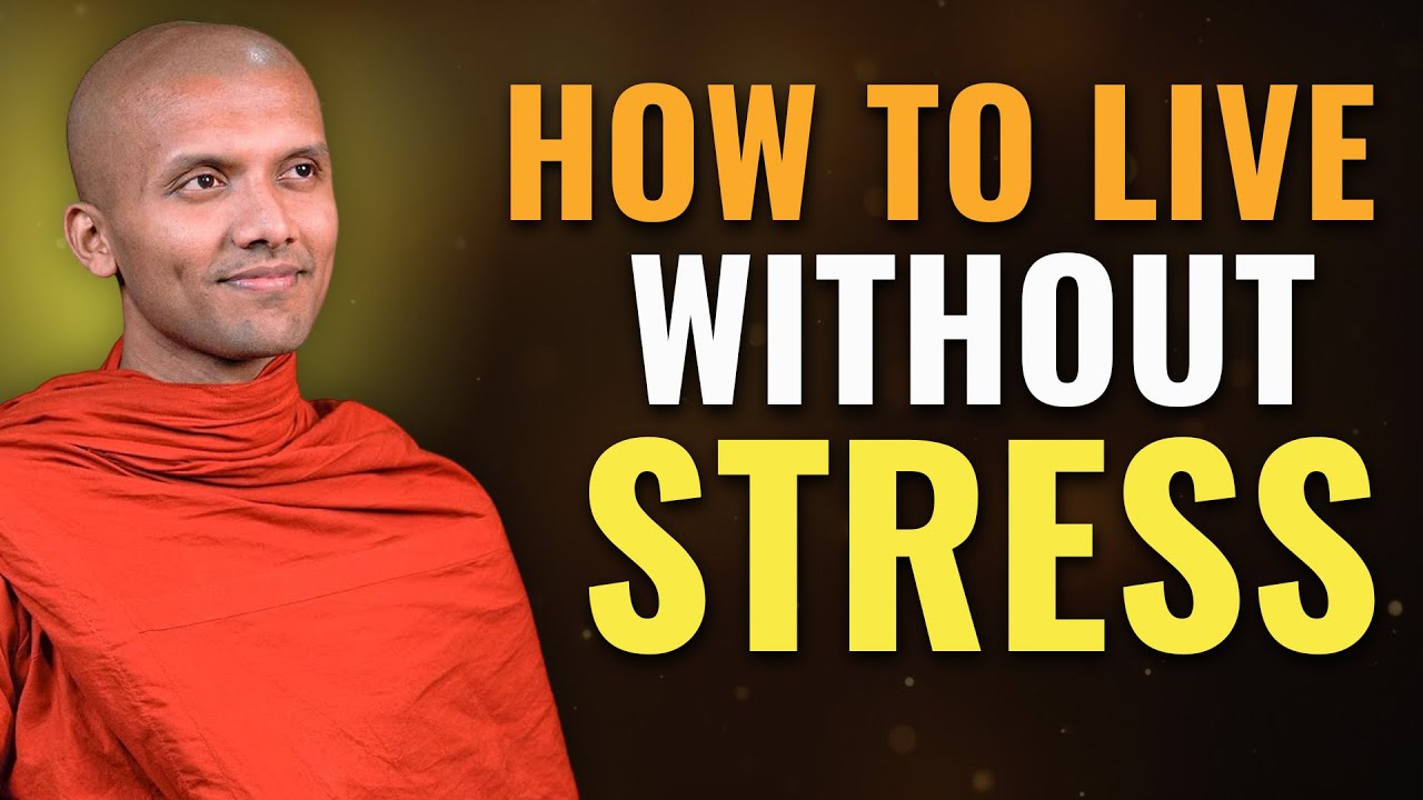 How to Live Without Stress | The Quiet Mind Hub