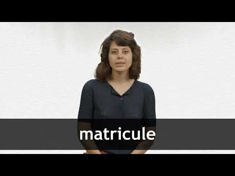 English Translation of “MATRICULE” | Collins French-English Dictionary