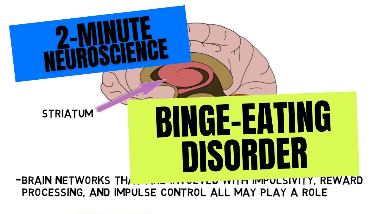 2-Minute Neuroscience: Binge-Eating Disorder