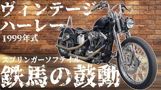 ハーレーYouTube ハーレーダビッドソンYouTube ハーレー姫路 ハーレーYouTube ハーレーダビッドソンYouTube ハーレー姫路