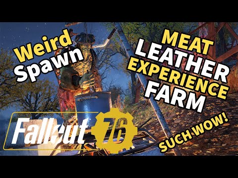 Where to find RADSTAGS, RADSCORPIONS and YAO GUAI (FOOD and XP Farm in fo76) WEIRD SPAWN Fallout 76