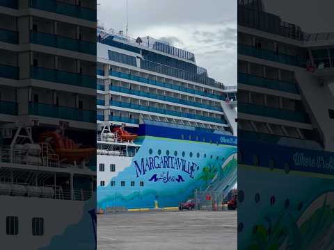 Margaritaville At Sea | Islander