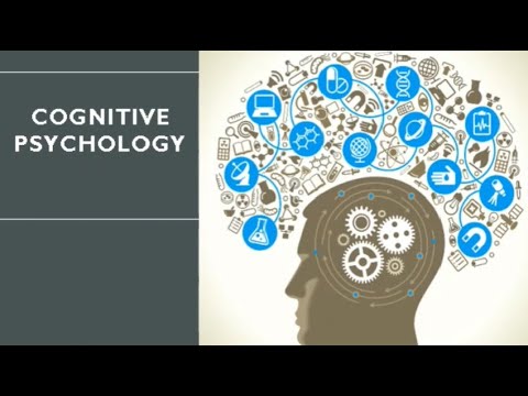 COGNITIVE PSYCHOLOGY: BSP 2-2_ ANIMAL TRAINING PROJECT.