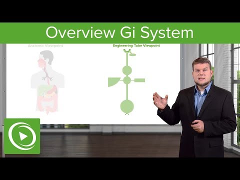 Overview: Gastrointestinal System – Physiology | Lecturio