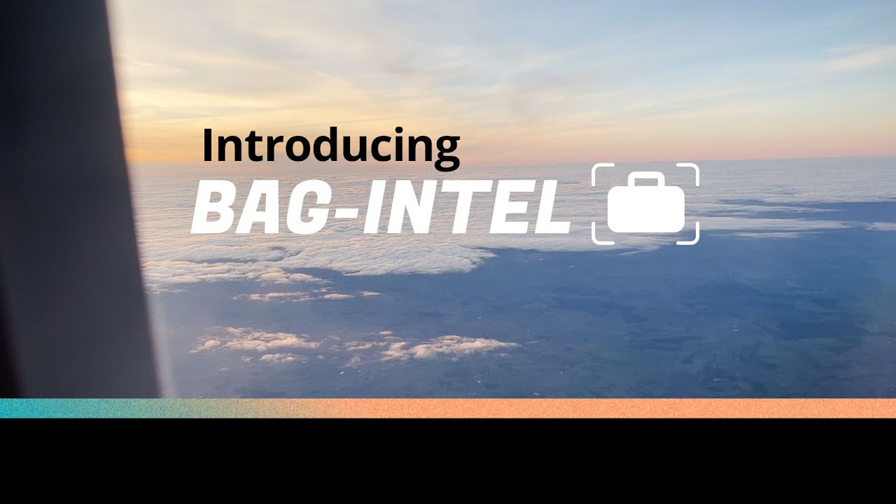 Introducing BAG-INTEL project