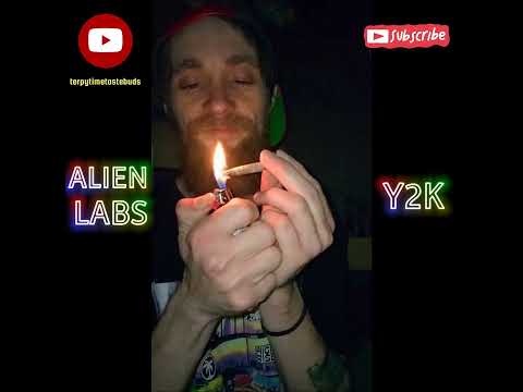 Y2k Alien Labs Strain – A1Cannabis