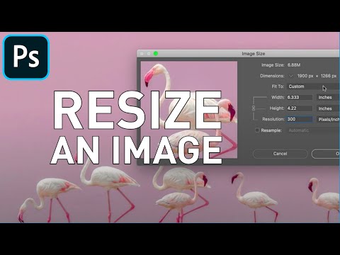 How to resize an image in Photoshop