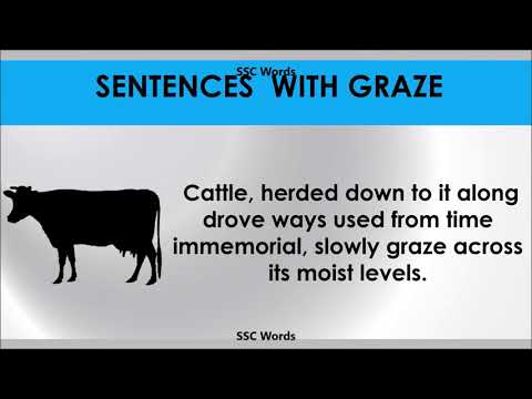 Graze - Improve English - Meaning and 5 sentences - GRE / CAT / GMAT word - SSC Words