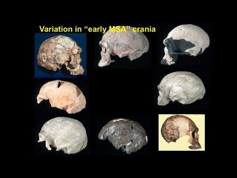 CARTA: The Origin of Us -- Chris Stringer: Fossil Record of Anatomically Modern Humans