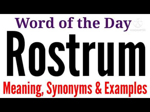 Rostrum Meaning in English and Hindi | Rostrum Synonyms and Antonyms | Rostrum in Sentences
