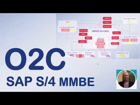 SAP S4 HANA transaction MMBE