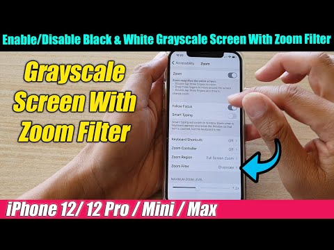iPhone 12/12 Pro: How to Enable/Disable Black & White Grayscale Screen With Zoom Filter