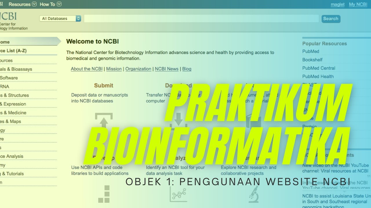Praktikum Bioinformatika | Pengunaan Website NCBI