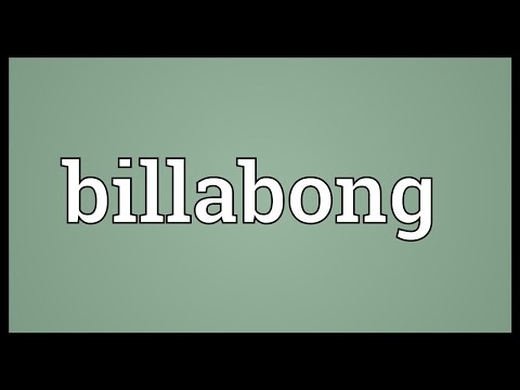 Billabong Meaning