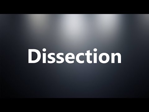Dissection - Medical Meaning and Pronunciation