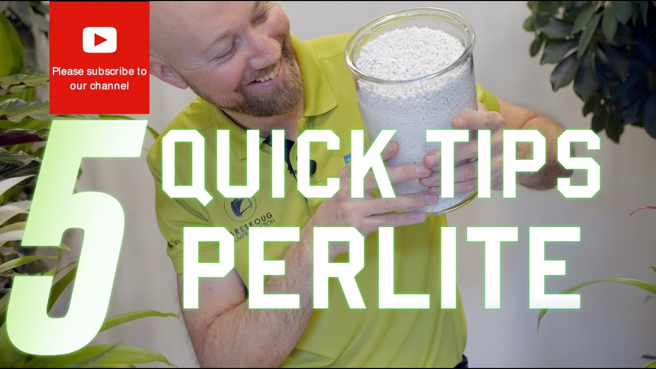 5 quick tips Perlite