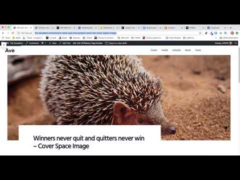 WP Posting a link to your blog into FB 2 ways