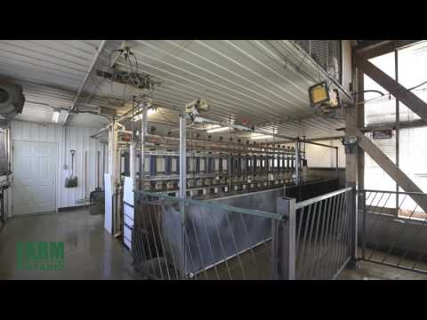 27289 Aberdeen Line DUTTON (MLS#: LS583916)