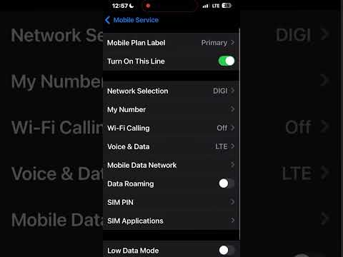 Roaming not working abroad? Hereās how to fix it using the DIGI STK app (Multi IMSI) (iPhone)