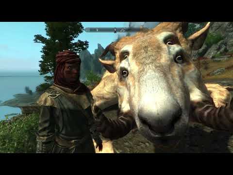 Steam Community :: Video :: Enderal Moments 1080P