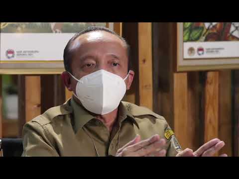 Sawit Bukan Tanaman Hutan