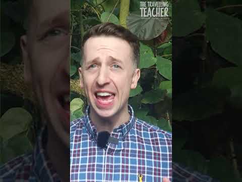 Deforestation - Causes. Geography AQA GCSE Revision