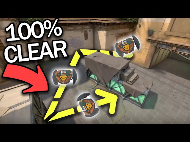 All Agent abilities that Deadlock can block in Valorant