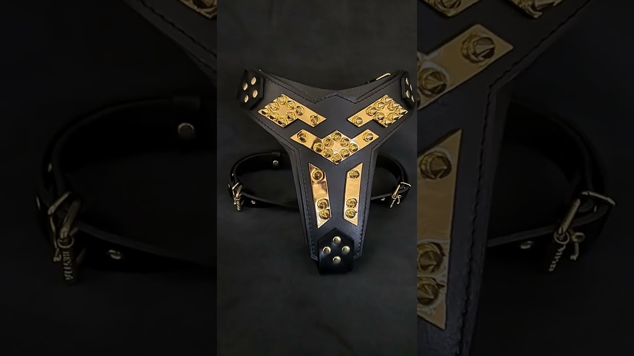 Midas Harness Gold