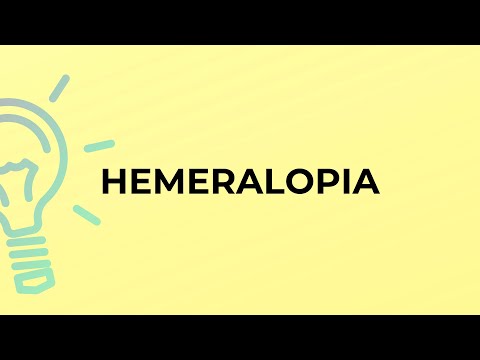What is the meaning of the word HEMERALOPIA?