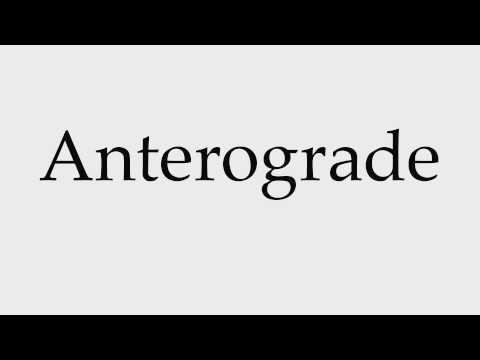 How to Pronounce Anterograde