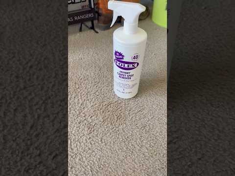 Best Carpet Stain Remover #amazonfinds #cleaningproducts
