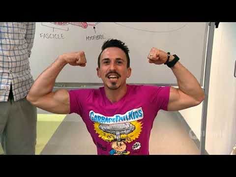 Muscle hypertrophy | Scope TV