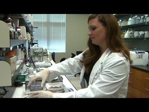 A Spoonful of Beans | North Carolina Science Now | Sci NC