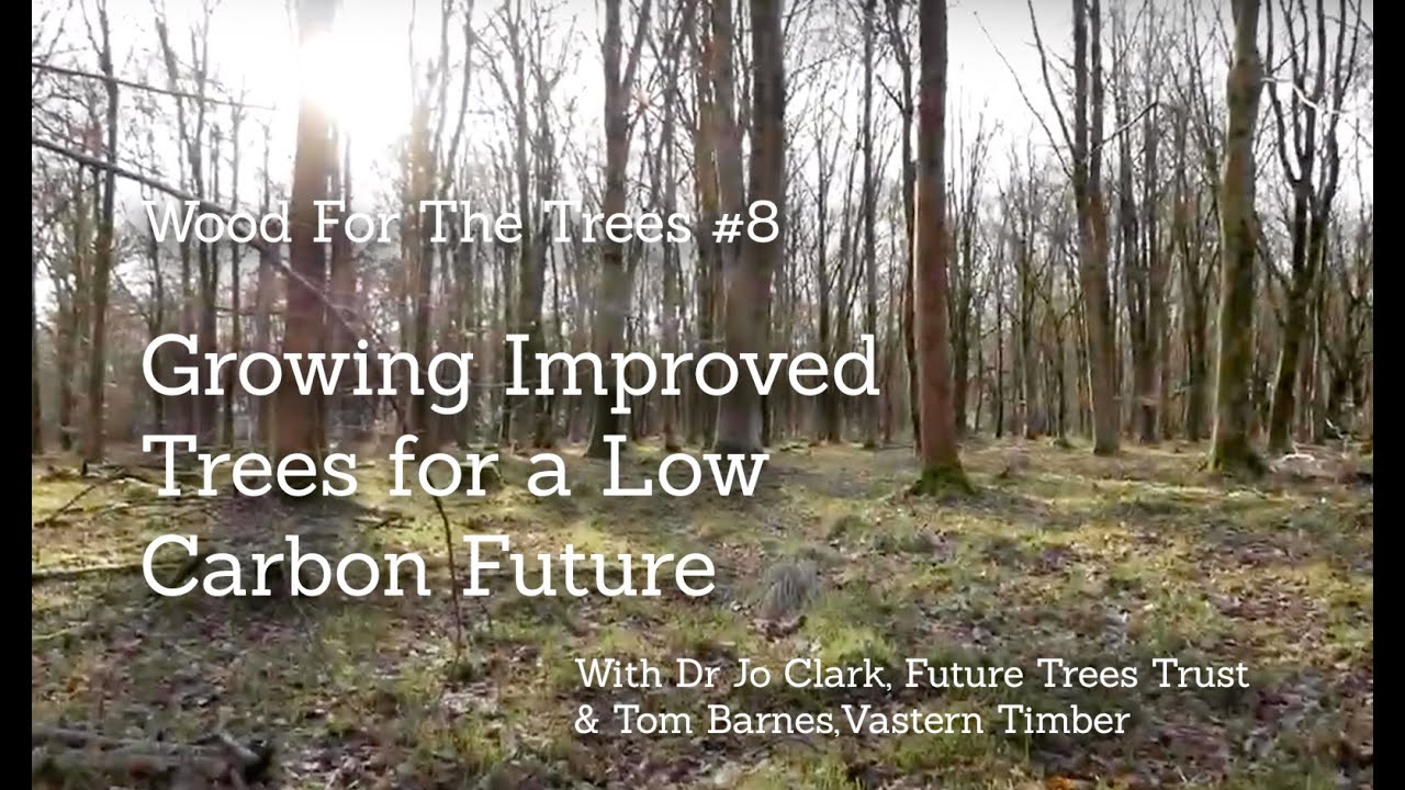 Growing Improved Trees for a Low Carbon Future, Wood For The Trees 8 with Dr Jo Clark