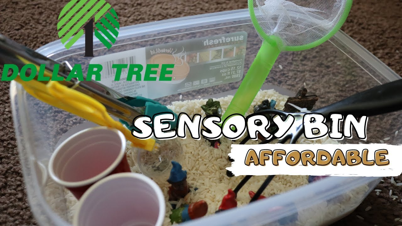 DOLLAR TREE SENSORY BIN | AFFORDABLE SESORY BIN