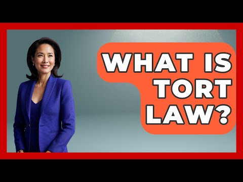 What Is Tort Law? - Making Politics Simple