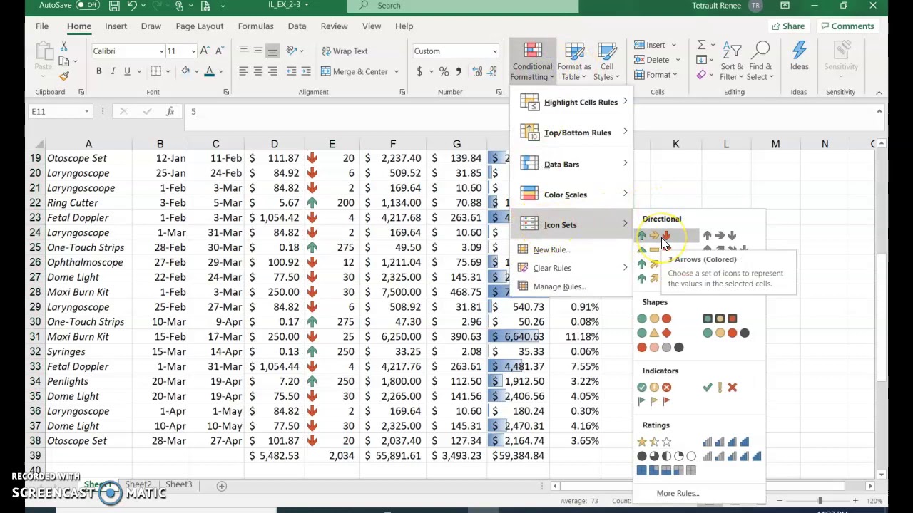Excel Module 2 Independent Challenge 2 Actual
