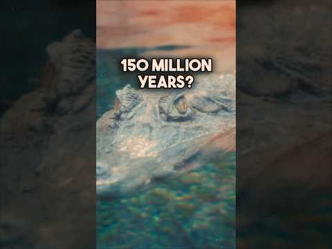 Creepy Facts About Alligators #shorts