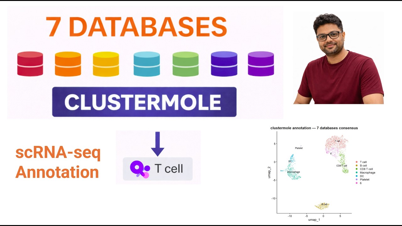 Clustermole: Automated Cell Type Annotation (scRNA-seq)
