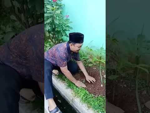 #pelantikanp3kkemenag #astaprotas#ekoteologi#kemenagberdampak#kementerianagama@kemenag-ri@sdmkemenag