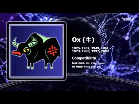 Chinese Horoscope 2016 | Ox